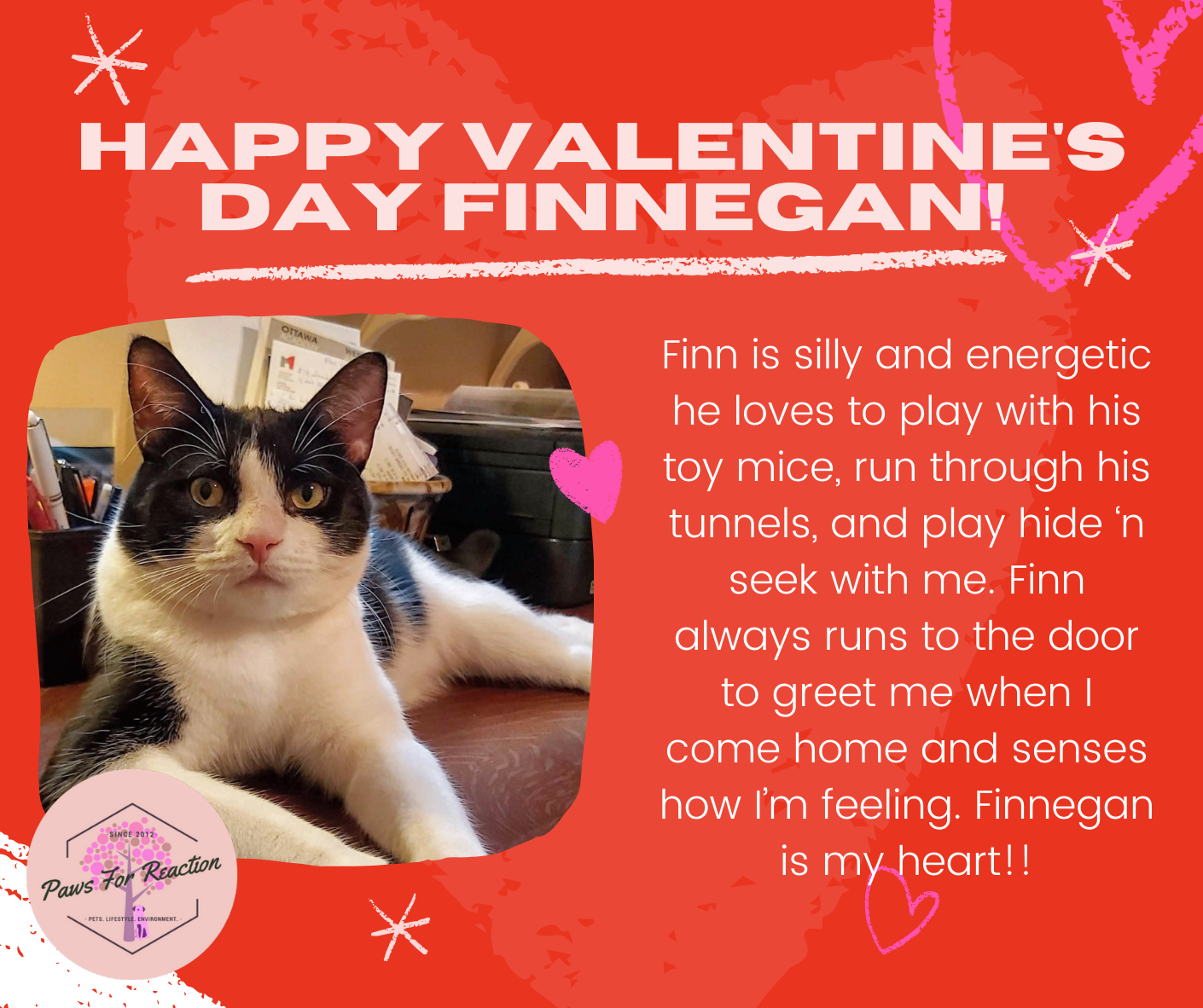 February Featured Pets: Custom Valentine of your pet | Paws for Reaction