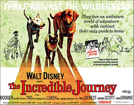 NeuroDojo: July 2013