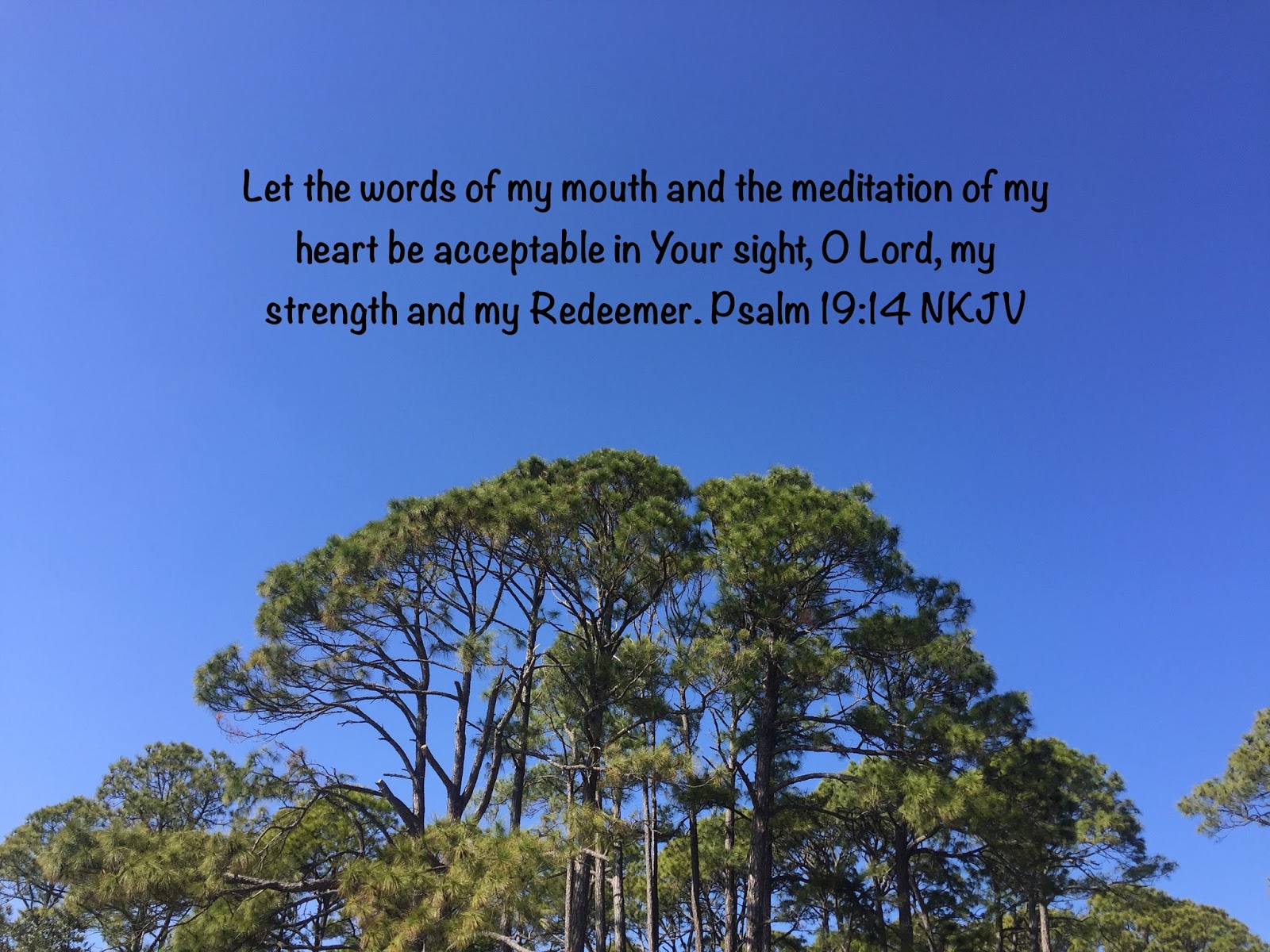 My Strength Psalm 19 14 Words my-strength-psalm-19-14-words