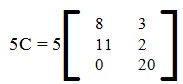 How To Multiply a Matrix By 2 | Scalar Matrix Multiplication