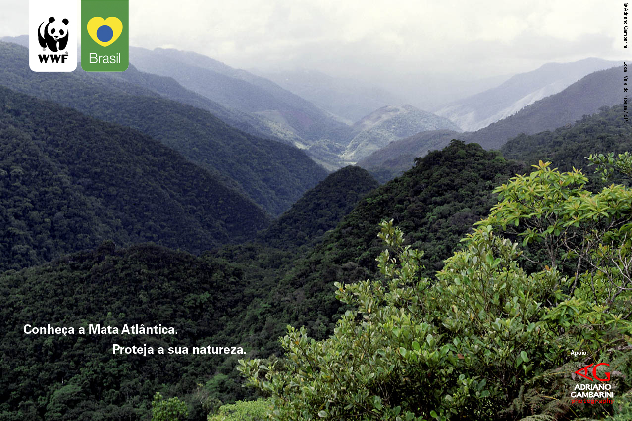 Vamos Preservar: 27 de Maio - Dia da Mata Atlântica