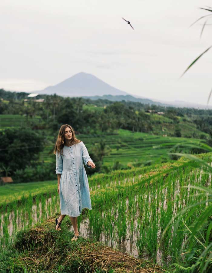 Jatiluwih Rice Terraces Bali - Fasilitas Wisata dan Harga Tiket Masuk