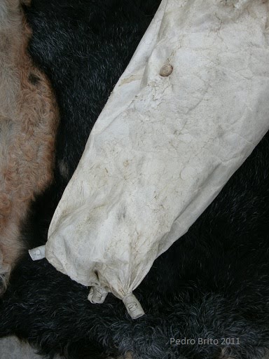 juncos y brimbes: Zurron de gofio