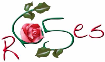 The Mrs. The Mommy. The M.D.: 65 Roses...