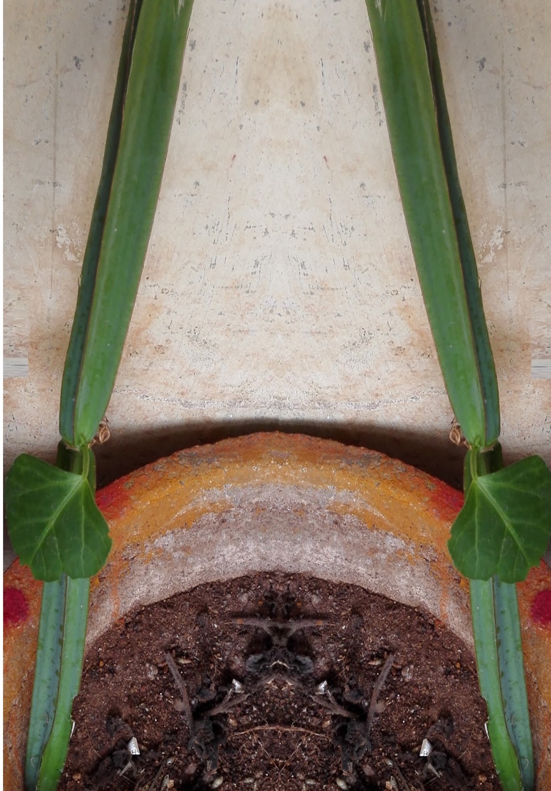 Indian Spices Help Improve Your Health: Pirandai