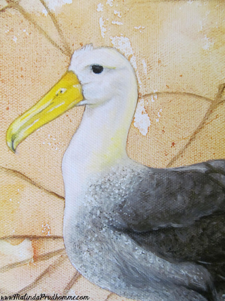 Malinda Prud'homme: A Mixed Media Artist's Blog: Courtship Of The Waved ...