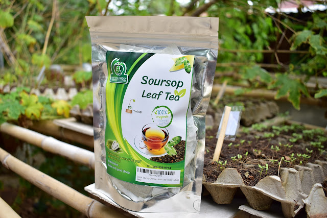 Organic Soursop Leaf Tea Review ~ Krittiya Garden World
