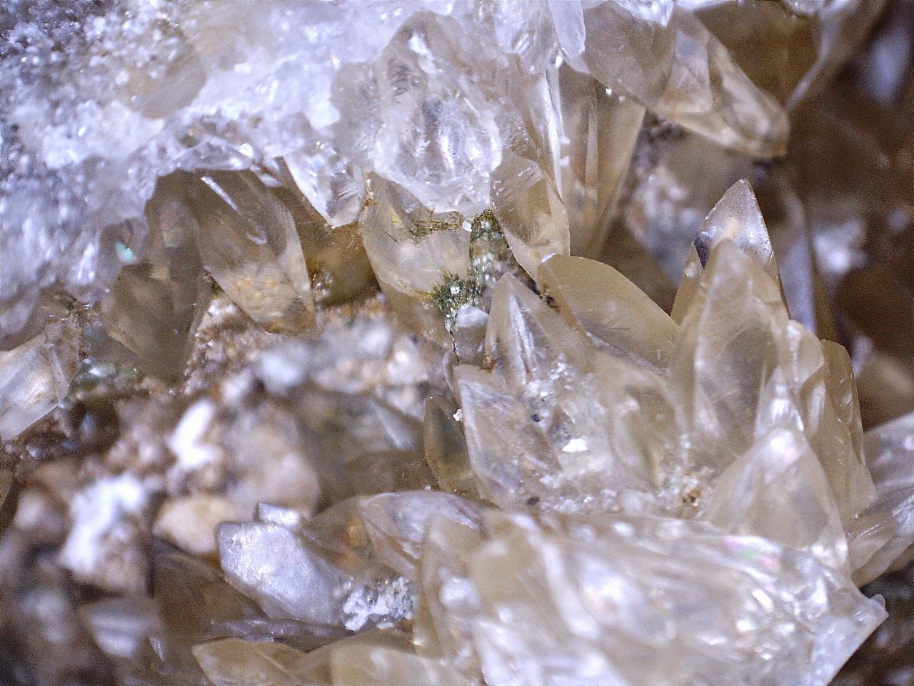 The Treasure Beaches Report Direct From Florida's Treasure Coast.: 5/28 ...