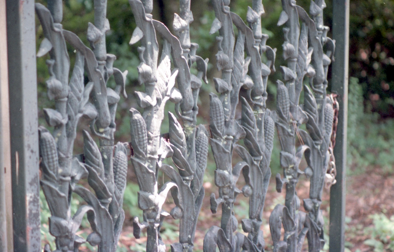Tammany Family: Cornstalk Fence