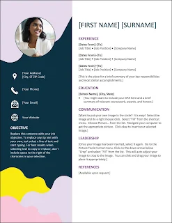 Graphical CV Format - PDF - DOC