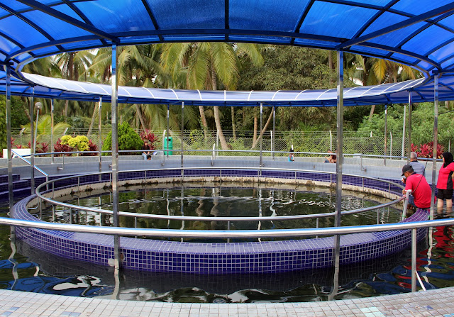 麻坡（Muar）2天1夜自驾游，超齐全柔佛景点·美食·住宿！