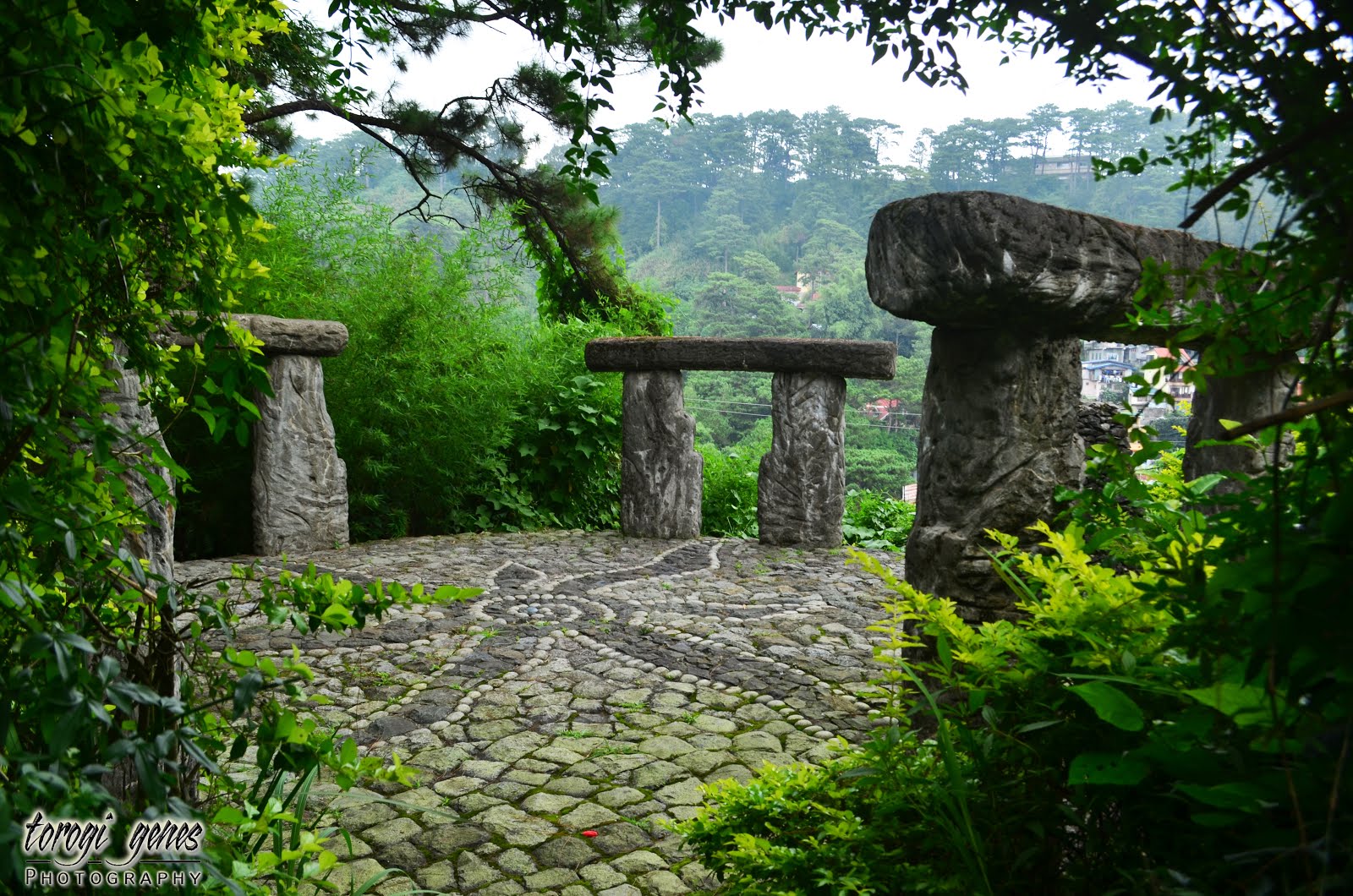 Lone Prowler: MARYKNOLL ECOLOGICAL SANCTUARY