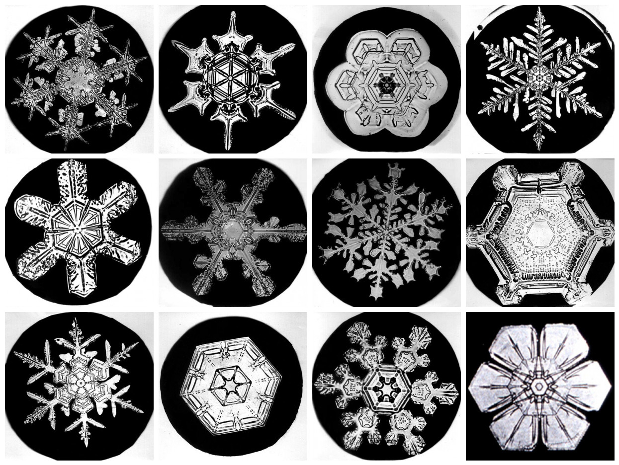 Le Flocon de Bertrand Santini et Laurent Gapaillard