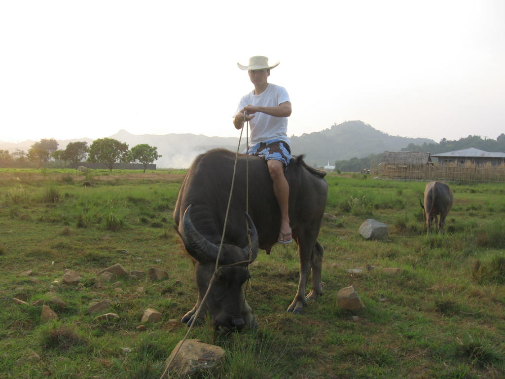 Riding a Carabao ~ The Coconuter