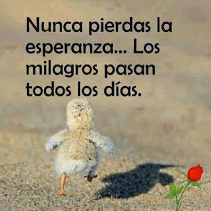 Ver lindas imagenes tiernas con frases bonitas | Bonitas imagenes y ...