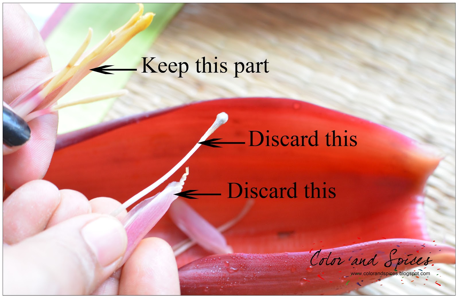 Color and Spices: Mochar Ghonto