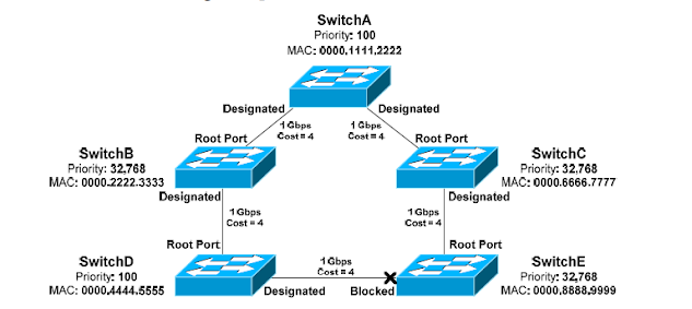 Identifying Designated Ports STP - IT World