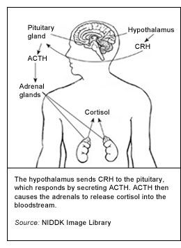 Hello USA: cosyntropin stimulation test