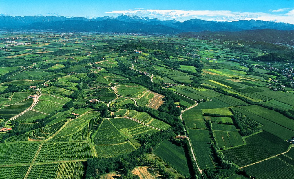 I Colli Orientali del Friuli – Un viaggio alla scoperta di un areale ...