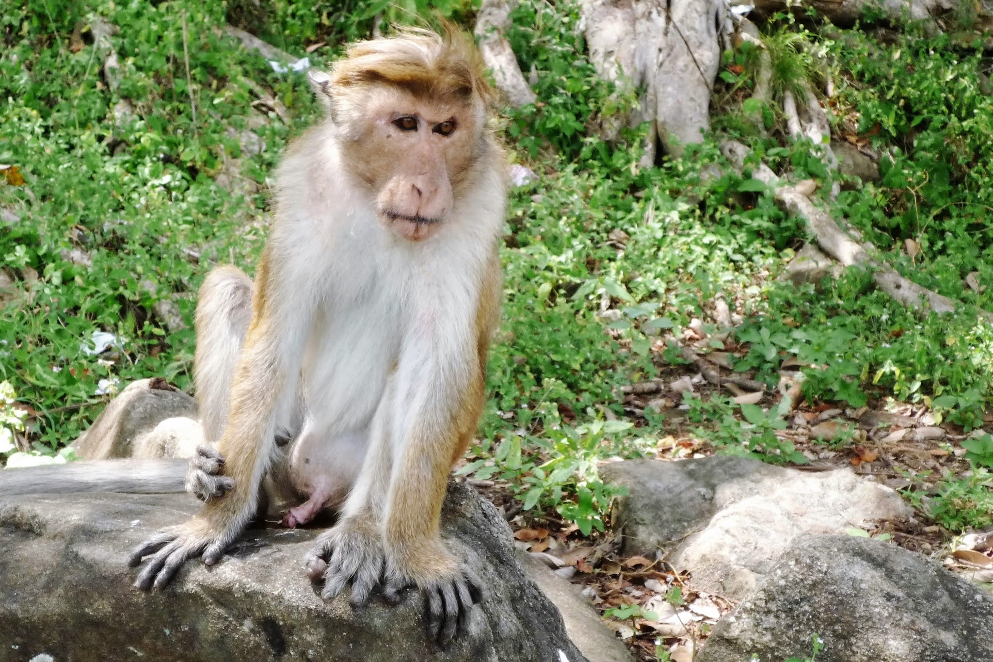 Backpacking travel & Outdoor adventures by Ching Neng Bin: 2011 ...