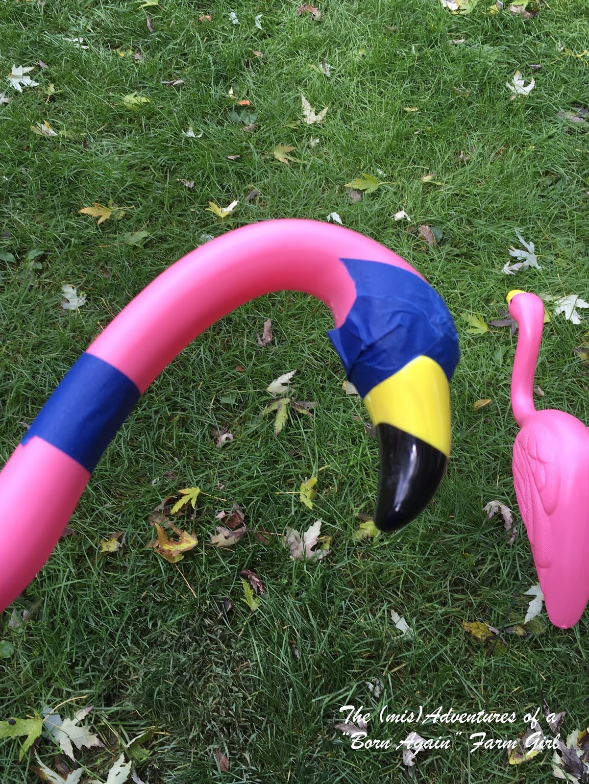 Easy DIY Vultures! - The (mis)Adventures of a Homesteadin' Mama