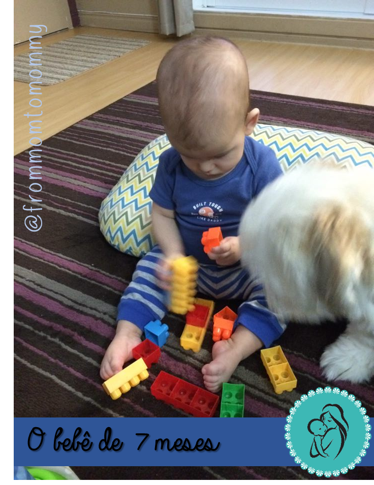 O bebê com 7 meses - From Mom to Mommy