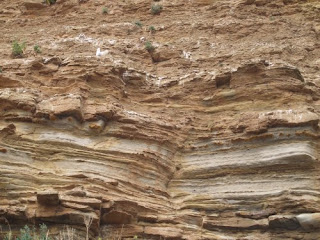 Struktur Sedimen ~ NeededThing