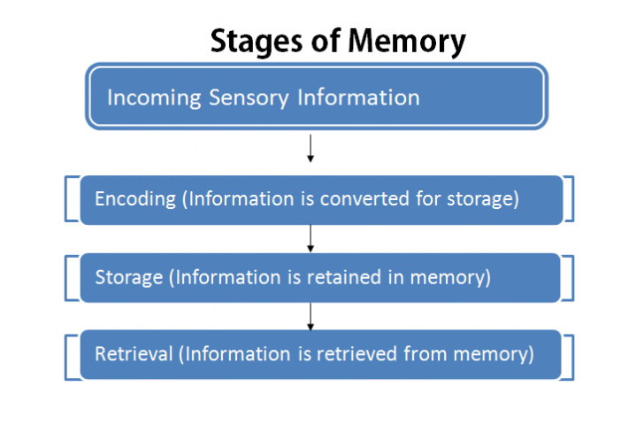 MDS Interim Assesment: Memory,Learning and AMP:Improving Concentration ...