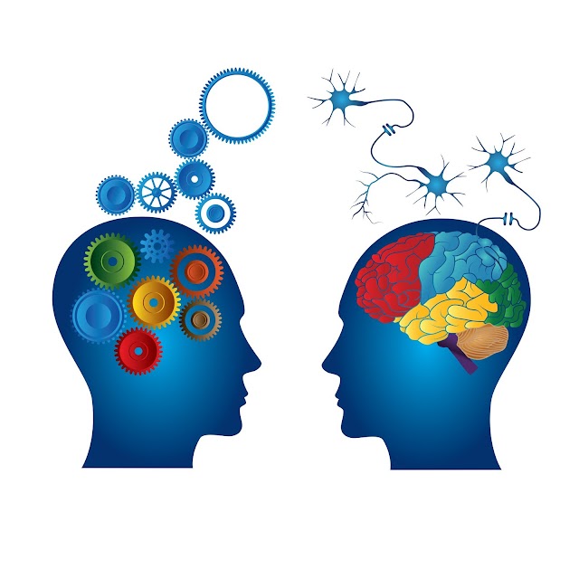 Consciente, Preconsciente e Inconsciente