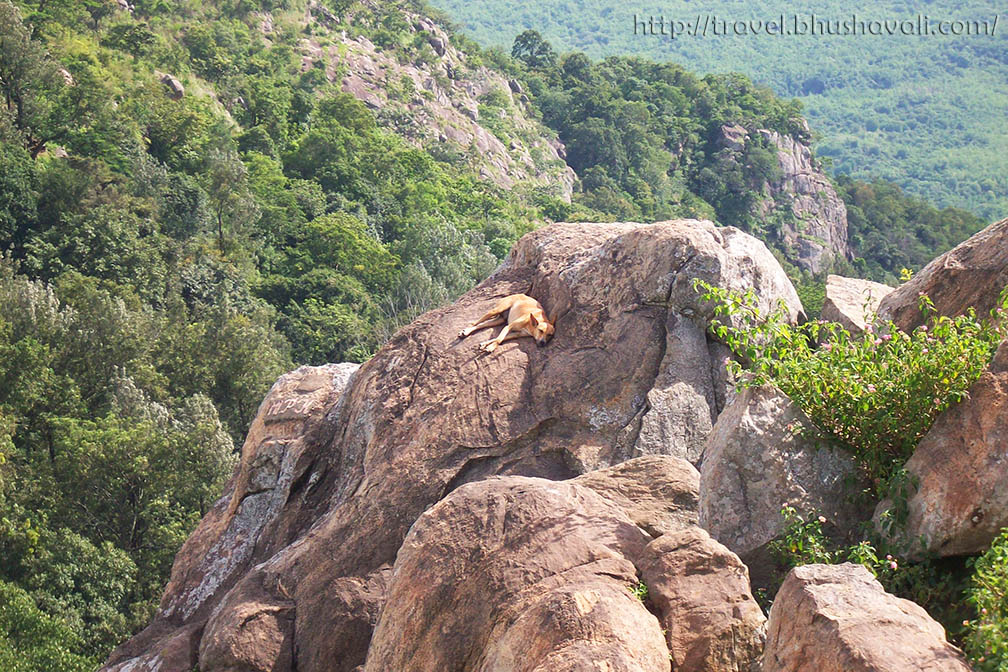 Top 7 best places to visit in Yercaud one-day trip (Salem - Tamil Nadu ...