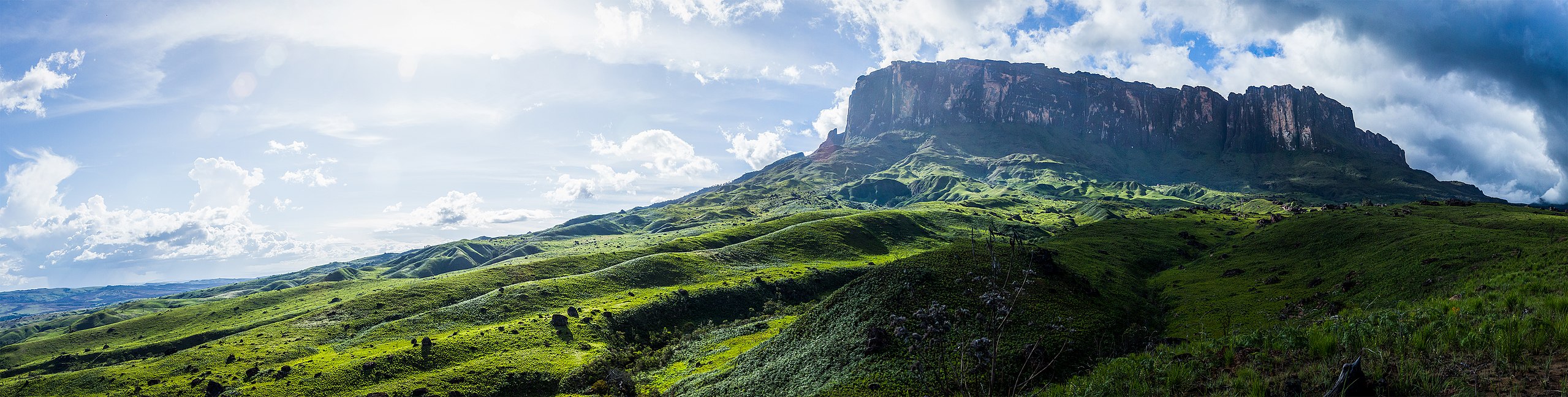 El Mundo Perdido. La fauna del Parque Nacional Canaima.