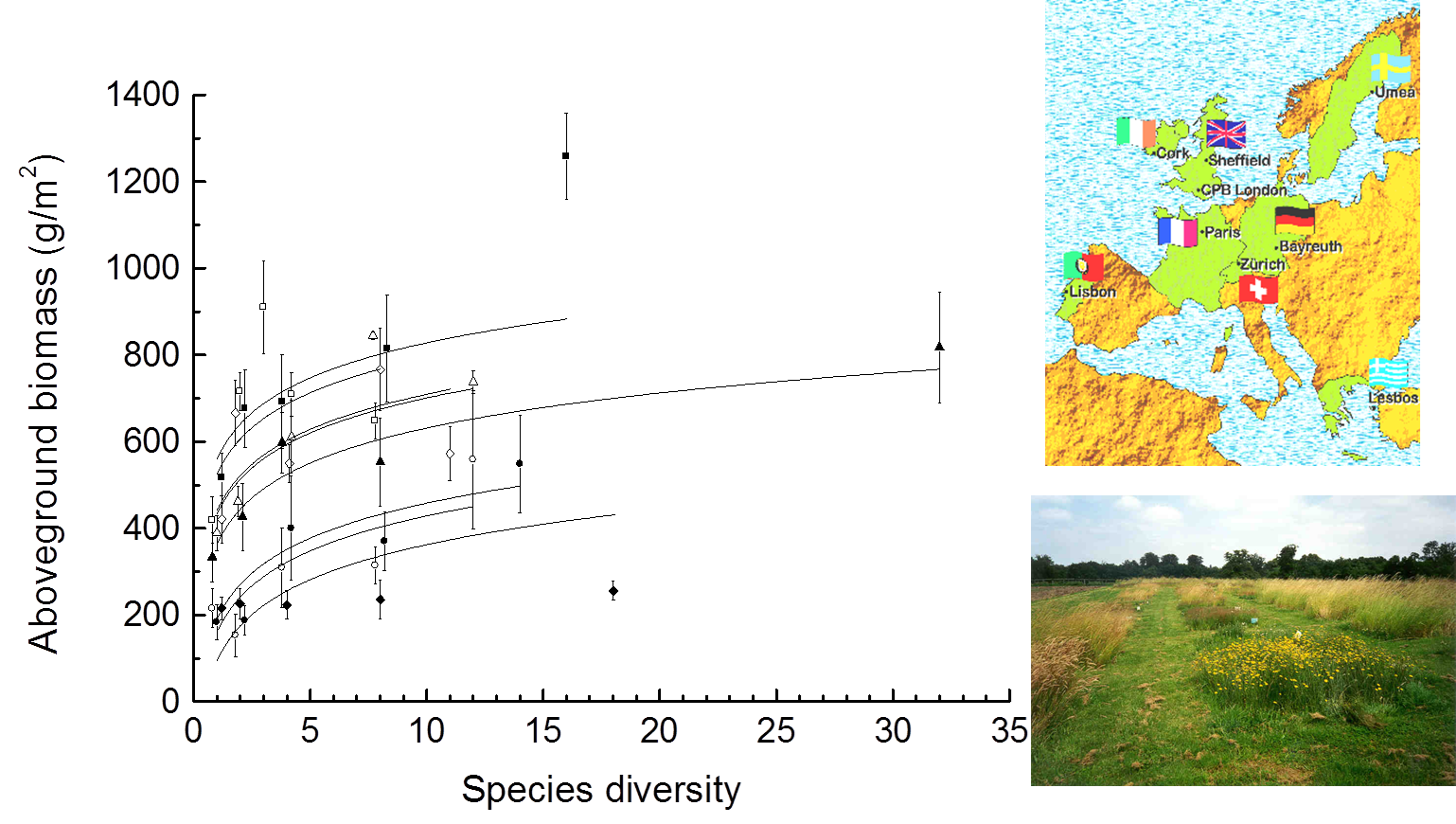 Farmland ecology: Plant diversity and yield in agricultural grasslands