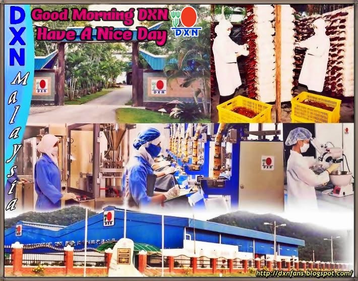 Welcome to the DXN Fans Blog