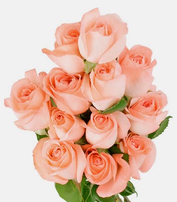 Terkeren 18+ Gambar Bunga Warna Peach - Gambar Bunga Indah