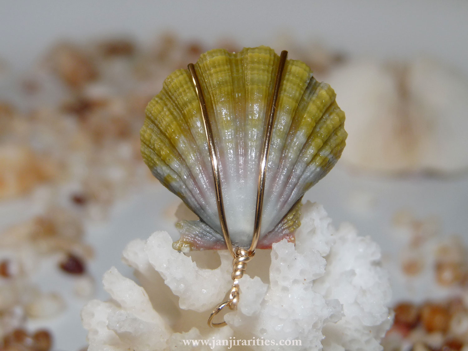 Kahelelani & Sunrise shell jewelry by.... Janjira: Sunrise & Moonrise ...