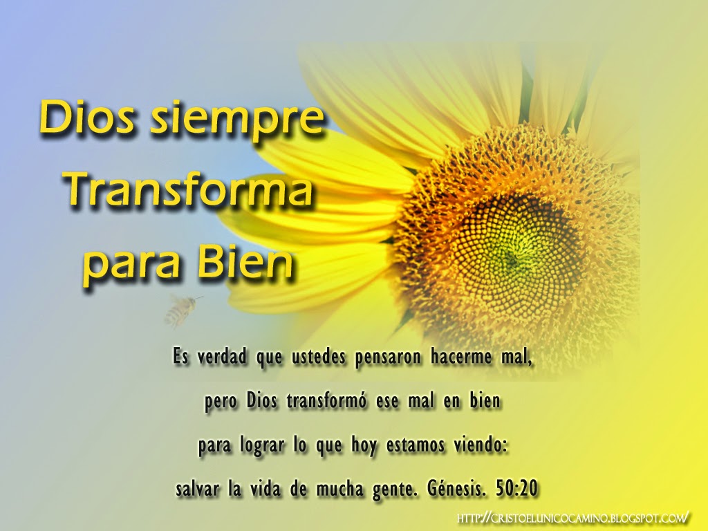 Cristo el Unico Camino: Dios Siempre Transforma para Bien