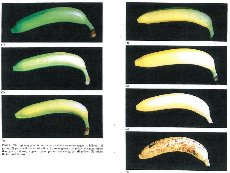 El mundo del Marine Surveyor (Capt.V.Massey): BANANAS ESCALA COLORES