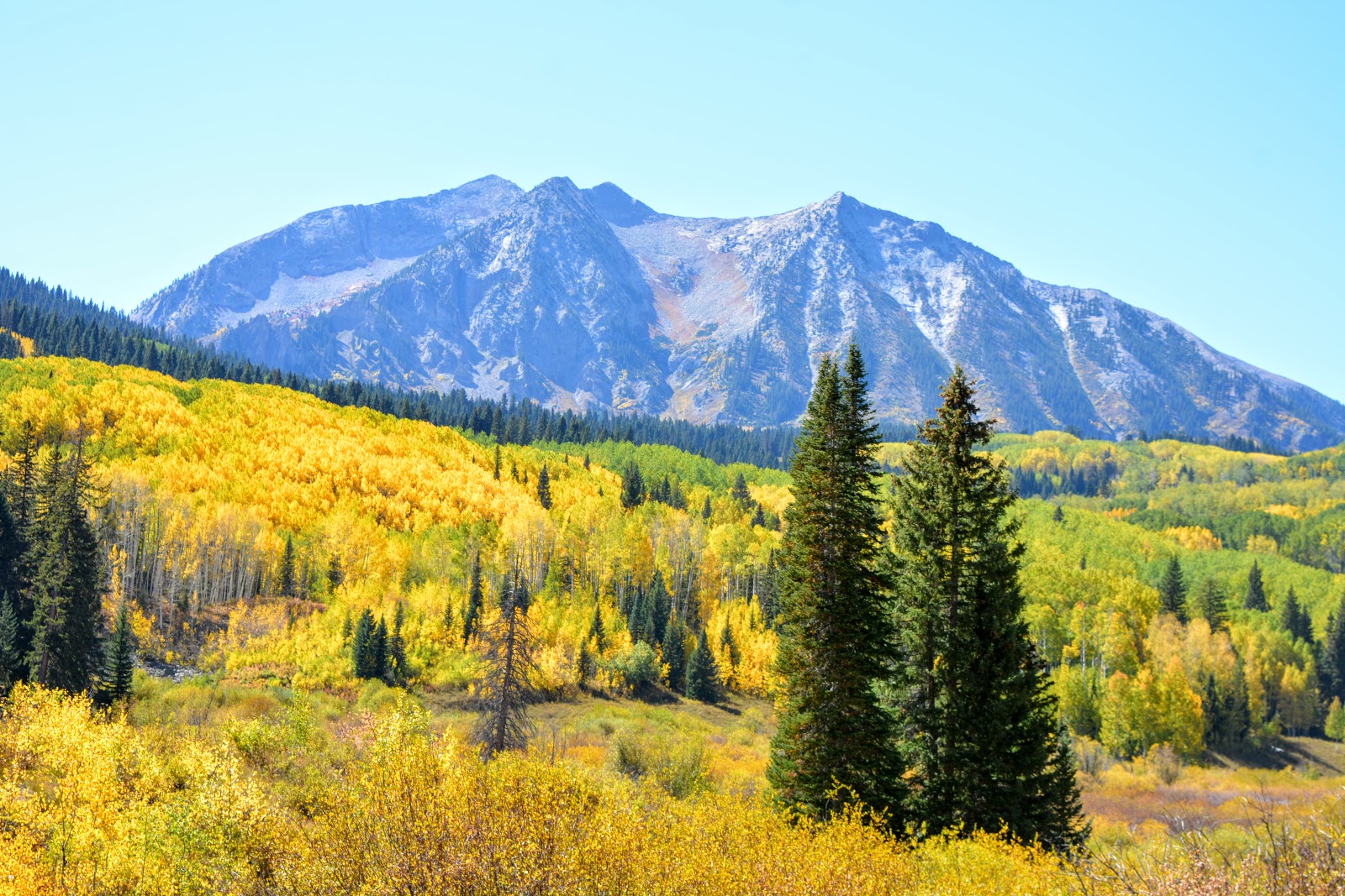 Mille Fiori Favoriti: West Elk Loop Scenic Byway and Kebler Pass