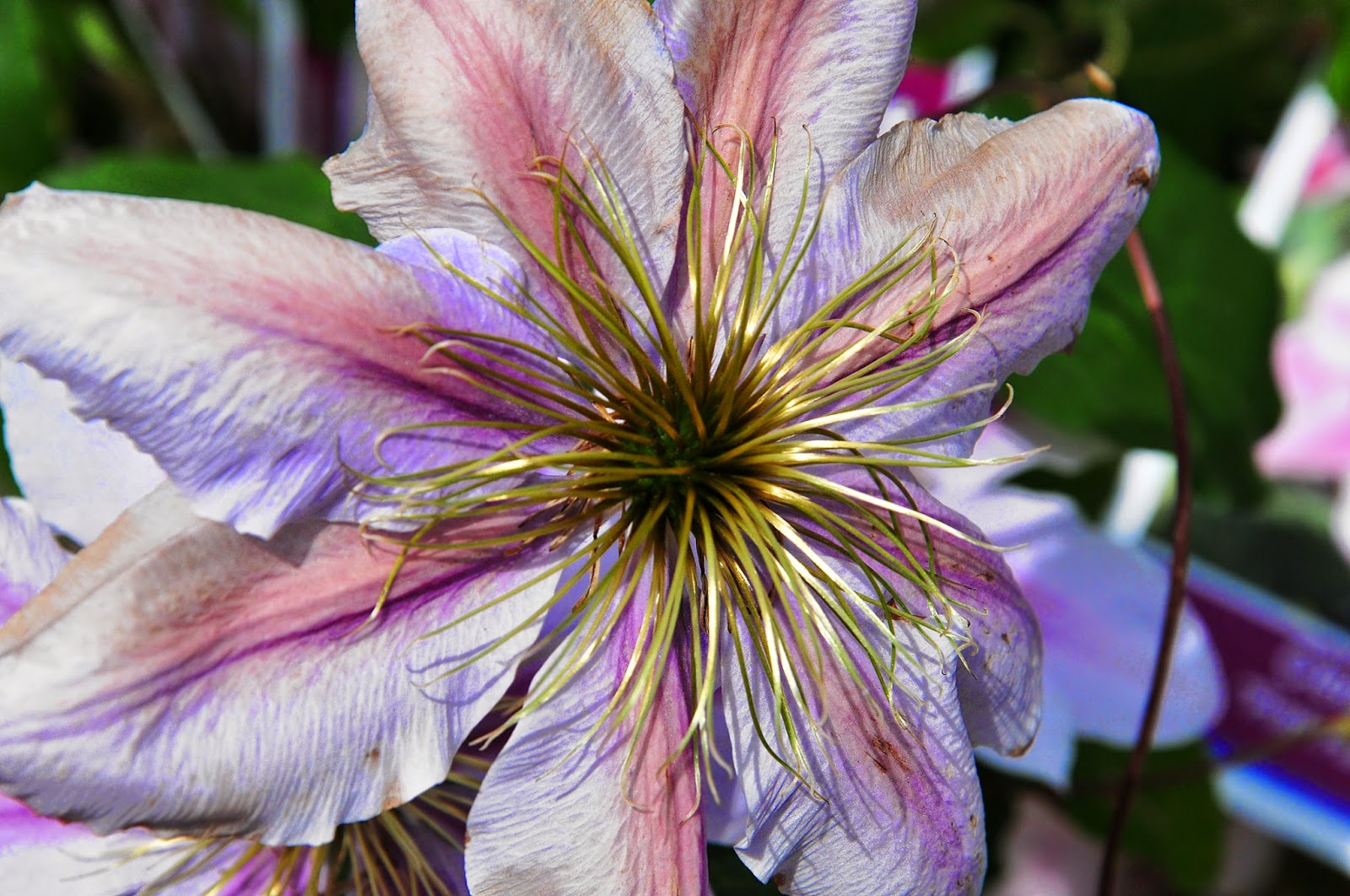 Torino In My eyes: May 2014