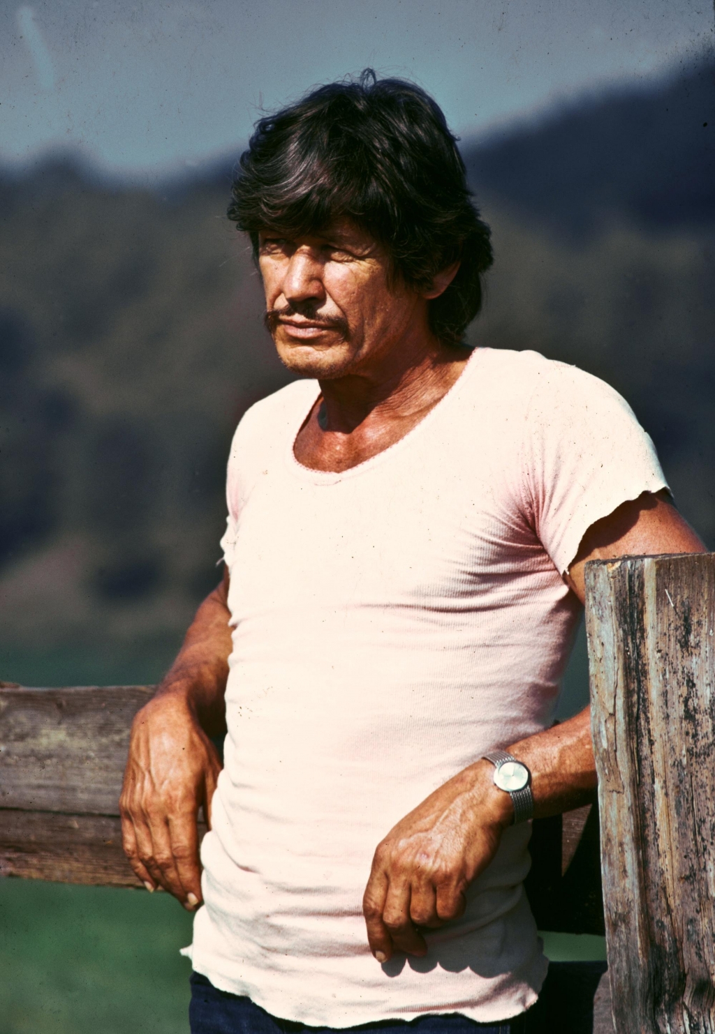 Una pizca de Cine, Música, Historia y Arte: Charles Bronson