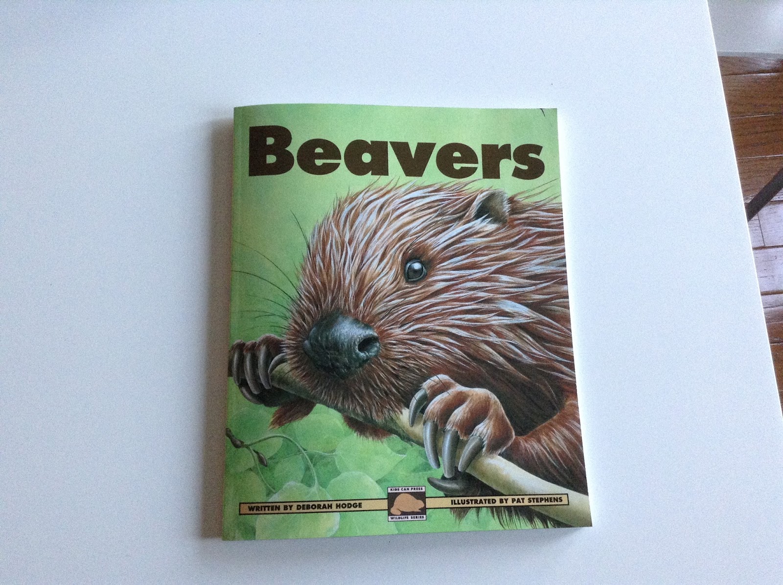 TeacherMomPlus3: Beaver's Lodge Craft