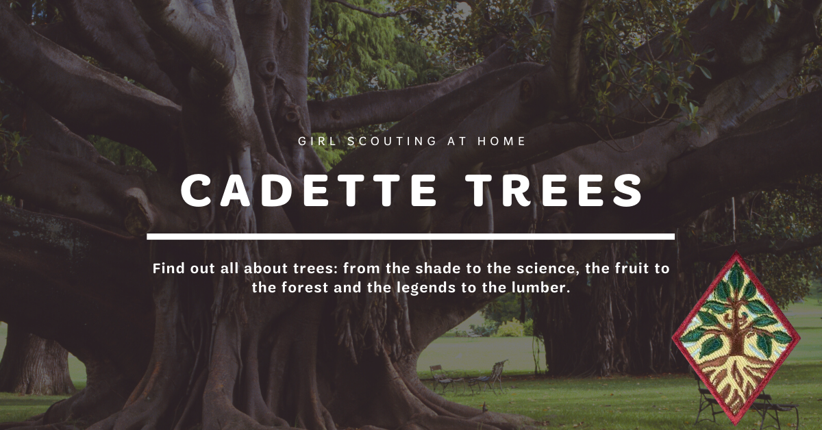 Cadette Trees Badge