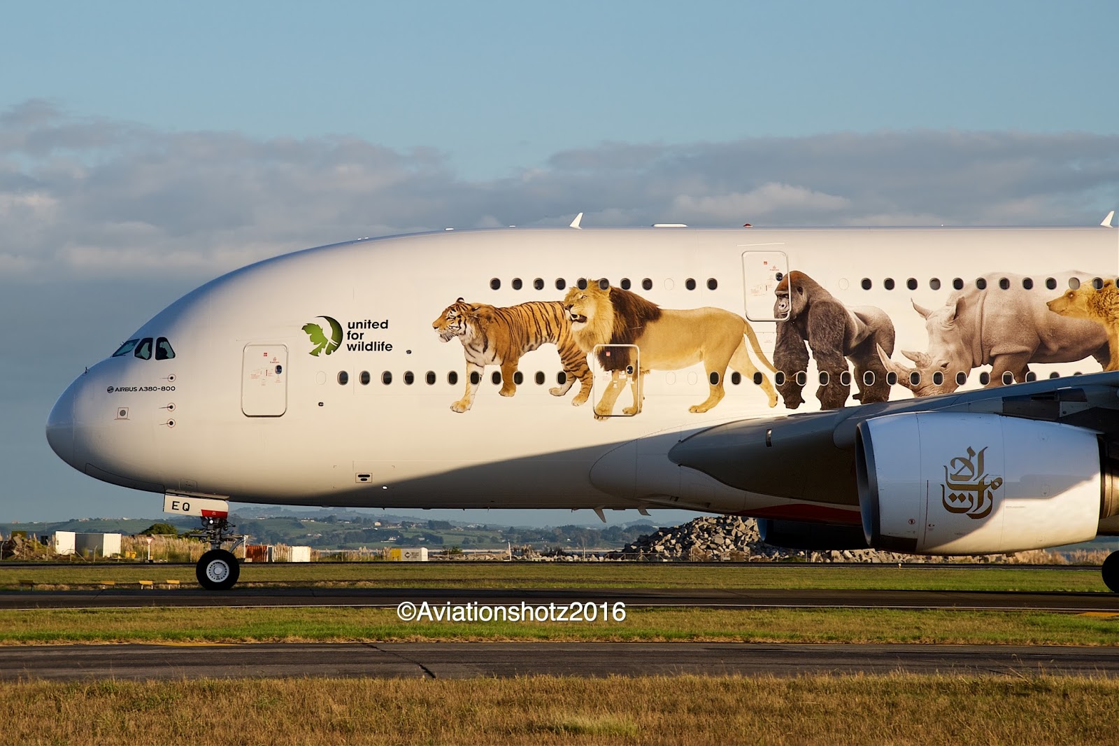 Aviationshotz: Emirates "United for Wildlife" A380, A6-EEQ