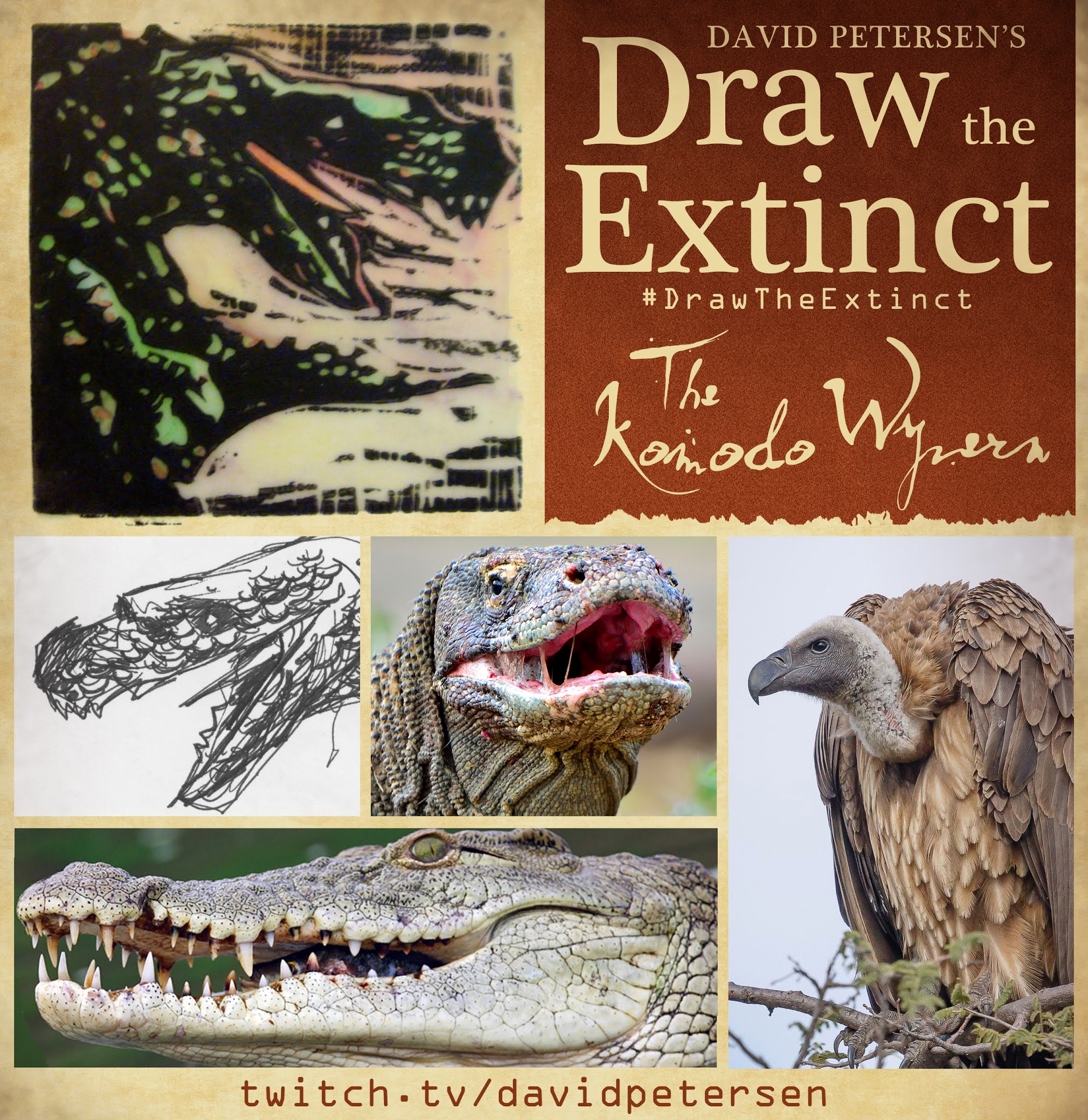 David Petersen's Blog: The Komodo Wyvern