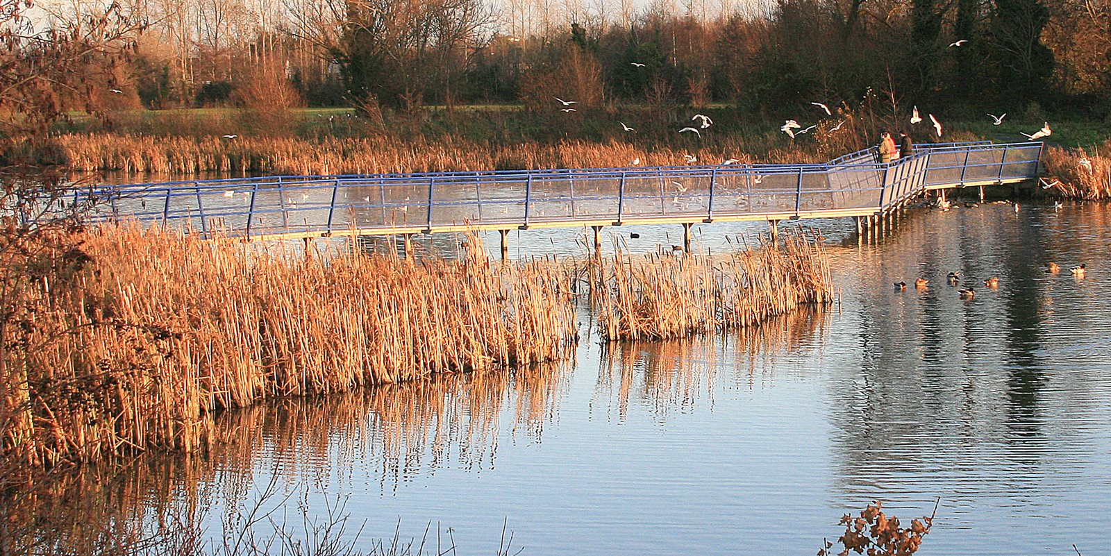 Camac Valley Caravan and Camping Park