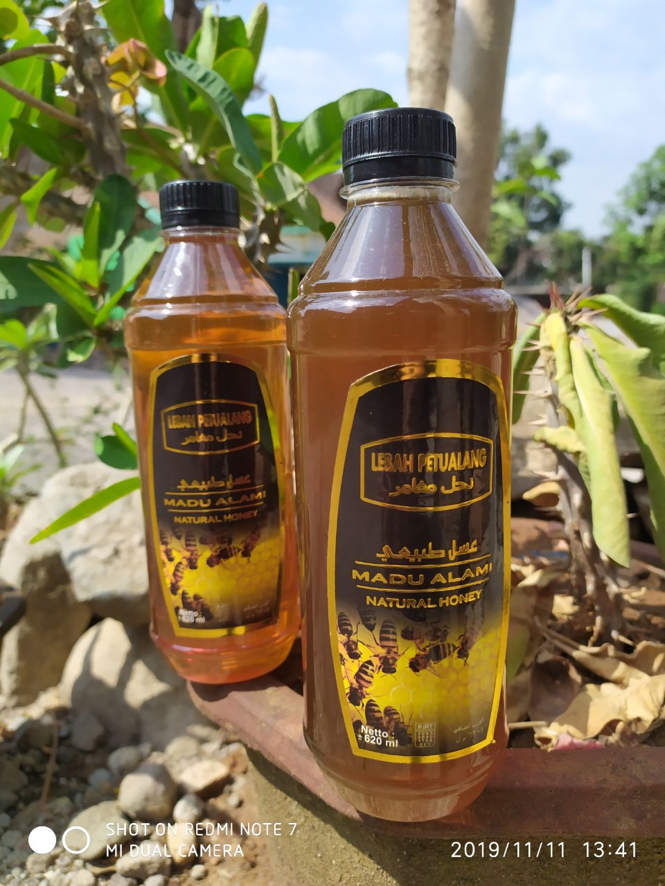 Madu Alami Lebah Petualang