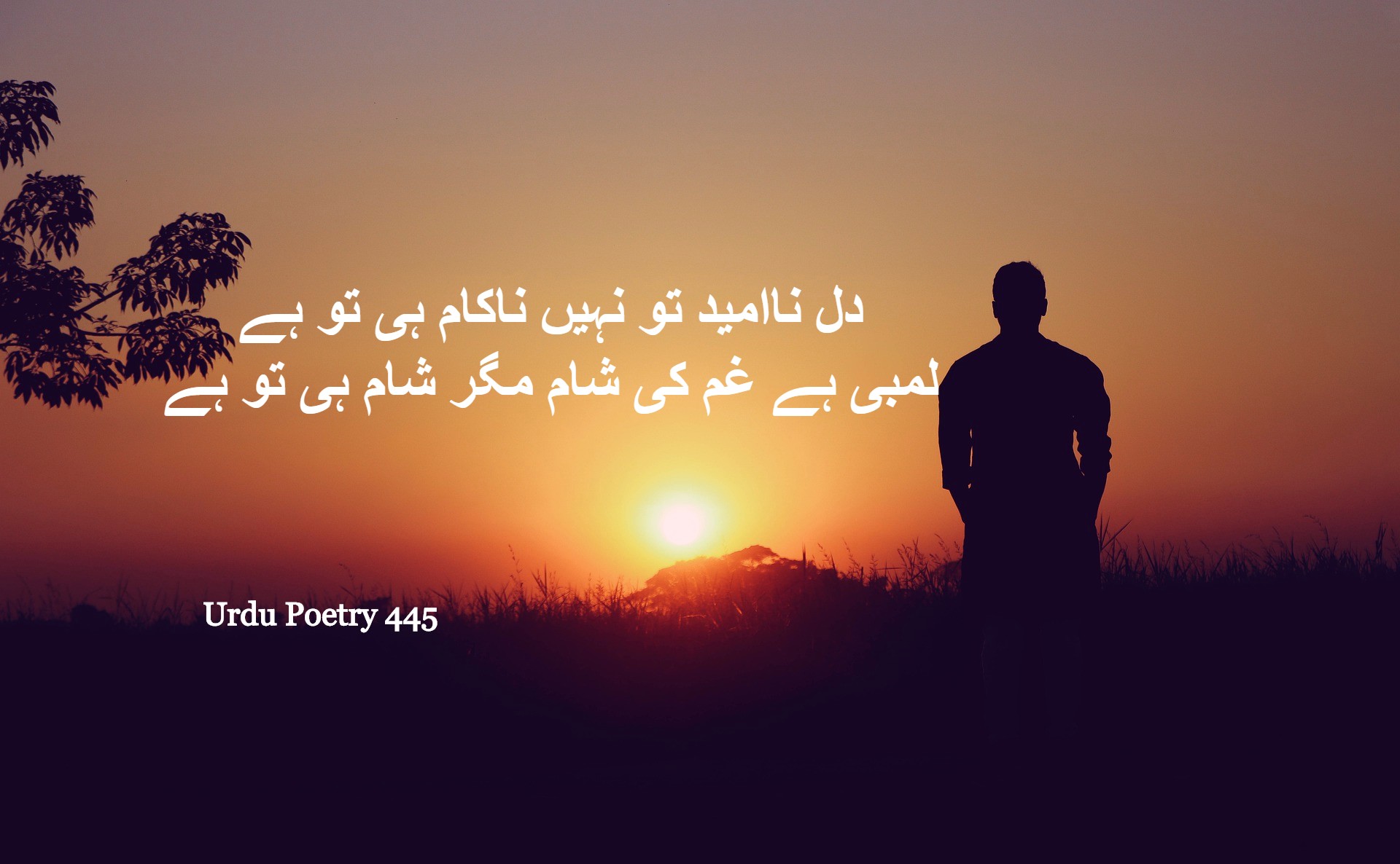 Dil Na-Umeed To Nahi Nakam Hi To Hai | love poetry | dil Shayari | Urdu ...