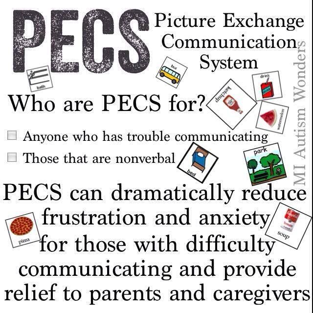 Fun with SATB2 Associated Syndrome : What is PECS?