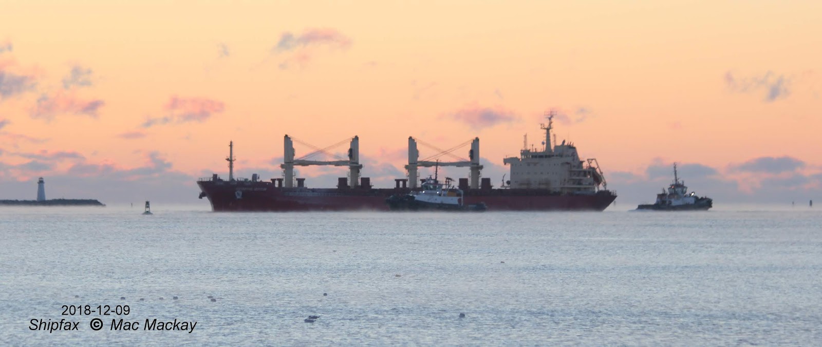 Shipfax: Fednav visitor