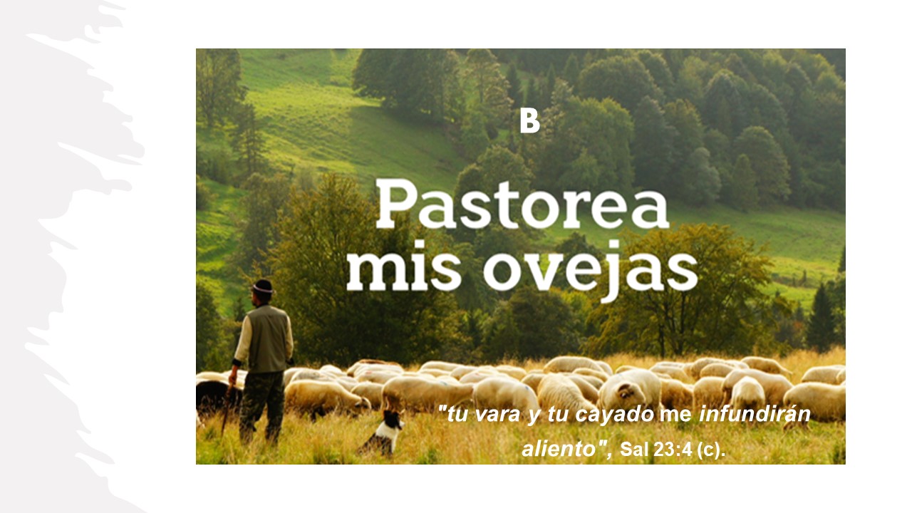 Nivel 3: Liderazgo Eficaz